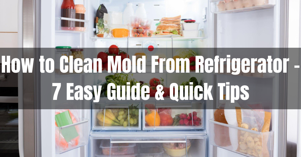 How To Remove Mold From Fridge Water Dispenser at Ina Lillard blog