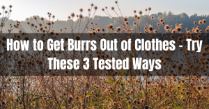 How To Get Burrs Out of Clothes - Try These 3 Tested Ways