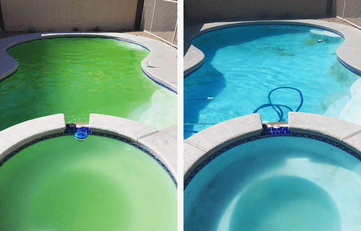 How to Remove Dead Algae From Pool Bottom - 2 Best Proven Methods