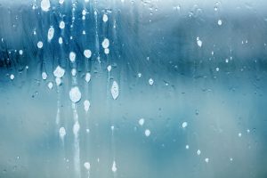 How to Build a Soft Wash System - (4 Best Steps)