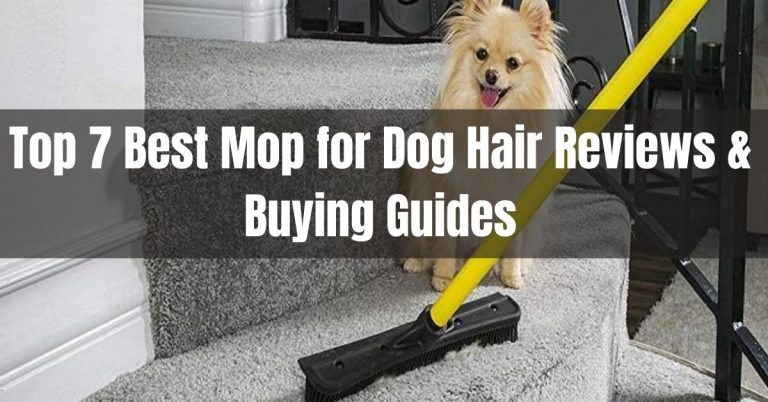 Top 7 Best Mop for Dog Hair Reviews & Buying Guides In 2022
