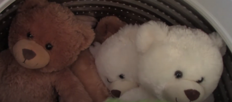 How to Wash Build a Bear - (3 Best Methods)