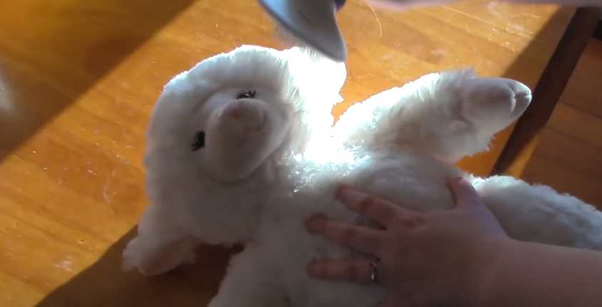 How to Wash Build a Bear - (3 Best Methods)